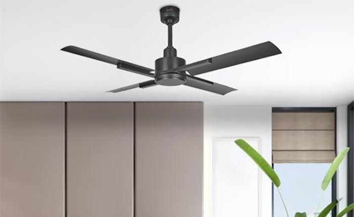 Upgrade your home with a stunning luxury ceiling fan!