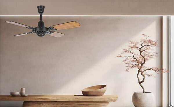 Premium Wooden Fans for Timeless Elegance