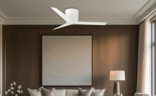 The Fascinating Story Behind the Best Ceiling Fans in India!
