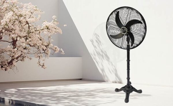 Think Outside the (Fan) Blade: Unique Ceiling Fans