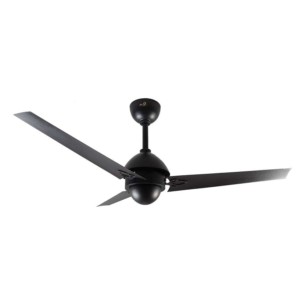 Modern Designer Ceiling Fans Collection in India | The Fan Studio