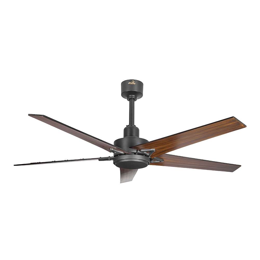 Modern Designer Ceiling Fans Collection in India | The Fan Studio